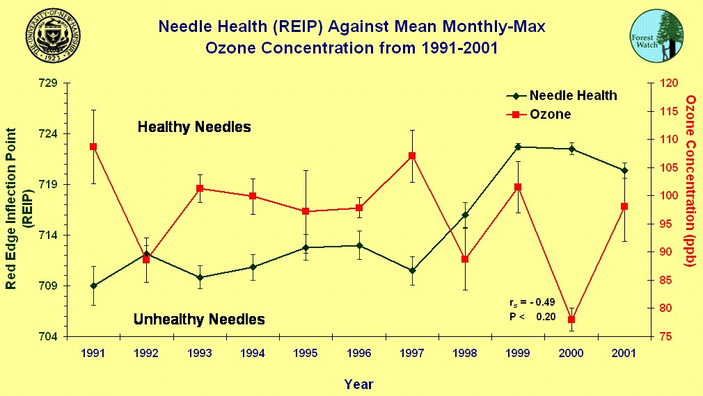 2000 REIP vs. Ozone